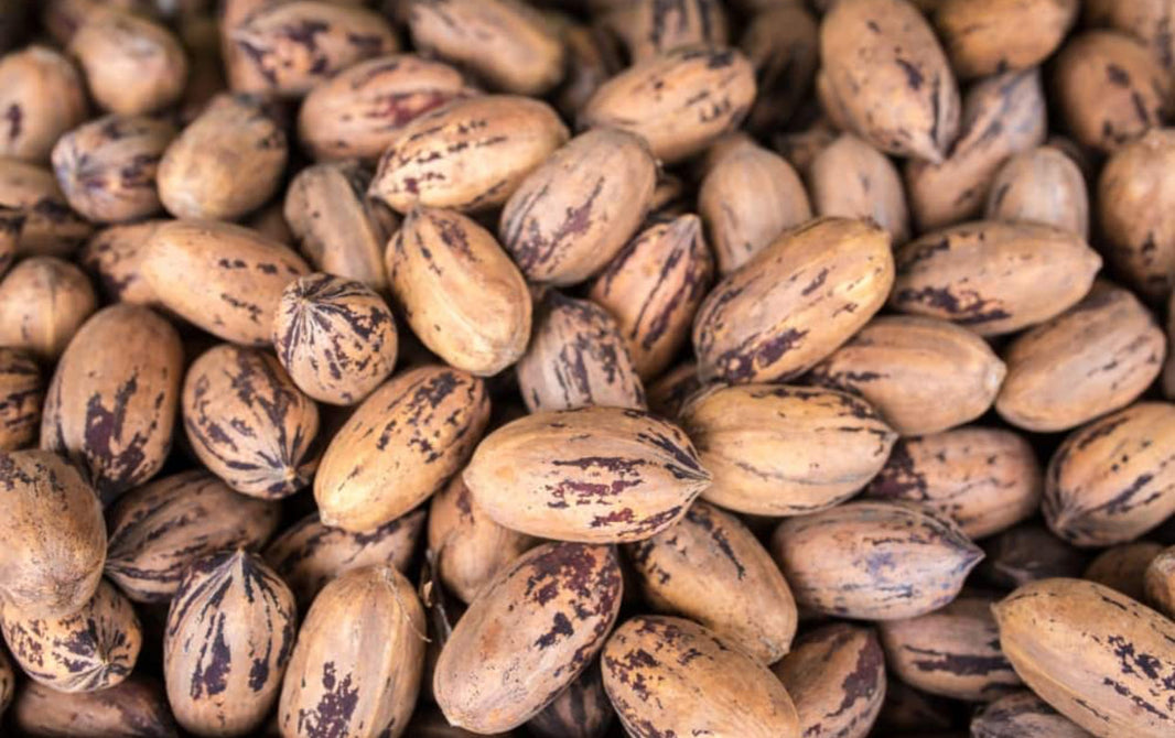 7th Generation Texan Smoked Salts